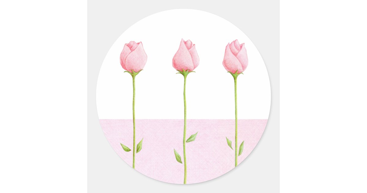 3 Pegatina Rosa Rosebuds | Zazzle.es