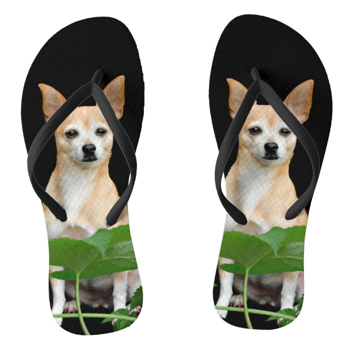 Chanclas Perro chihuahua, retrato de Mascota de arte negro | Zazzle.es