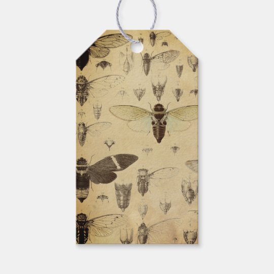 Etiqueta de diario de entomología | Zazzle.es