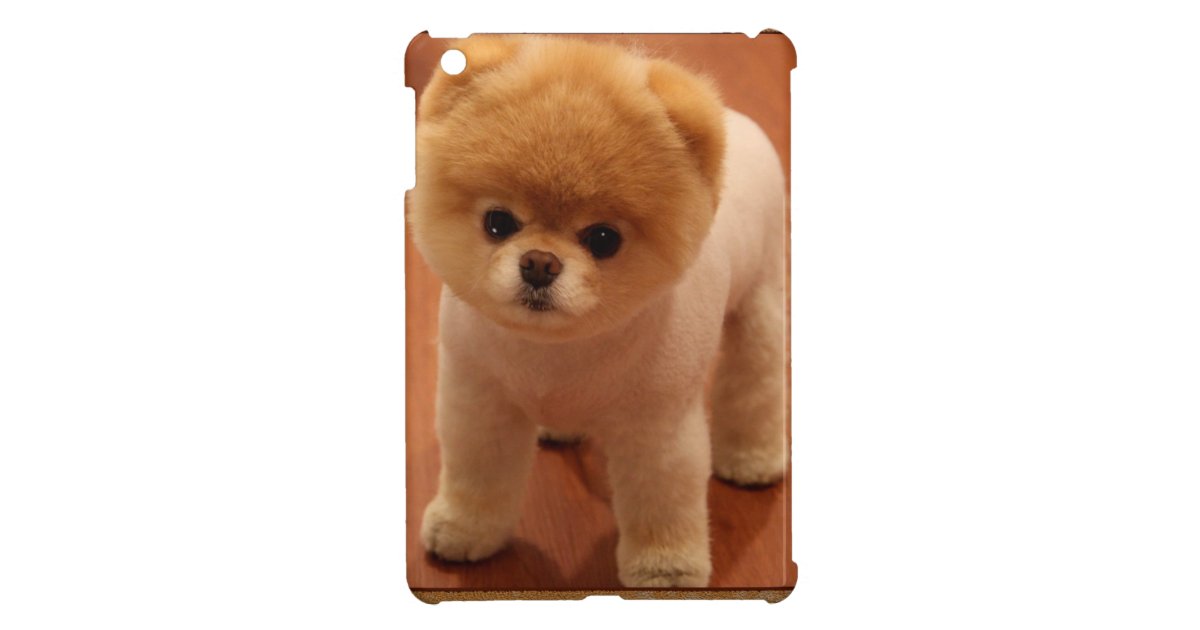 Funda Para iPad Mini Bebé adorable del perrito del mascota del perro de ...