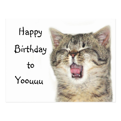 Postales de feliz cumpleaños de gatitos - Imagui