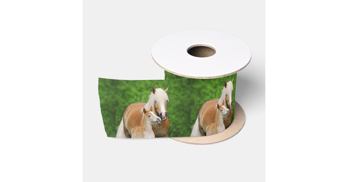 Lazo De Raso Foto animal del potro de los caballos de Haflinger | Zazzle.es