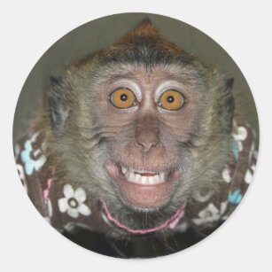 Pegatinas Dientes - Calcomanías | Zazzle.es