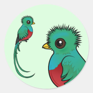 Pegatinas Quetzal - Calcomanías | Zazzle.es
