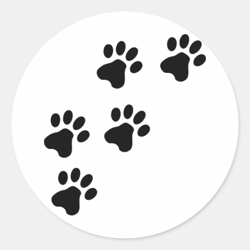 Imagenes de patitas de perritos - Imagui