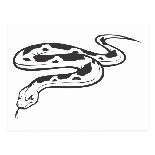 Dibujo de la serpiente piton - Imagui