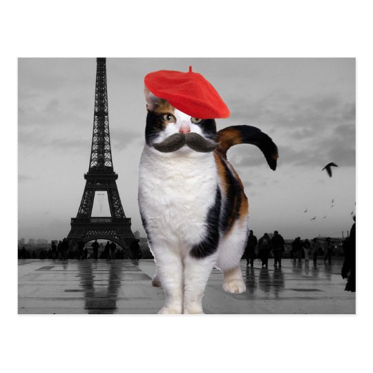 Postal Gato francés en París | Zazzle.es