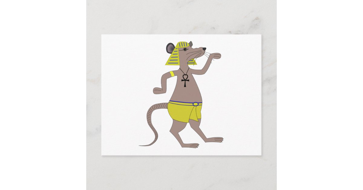 Postal Rata egipcia | Zazzle.es