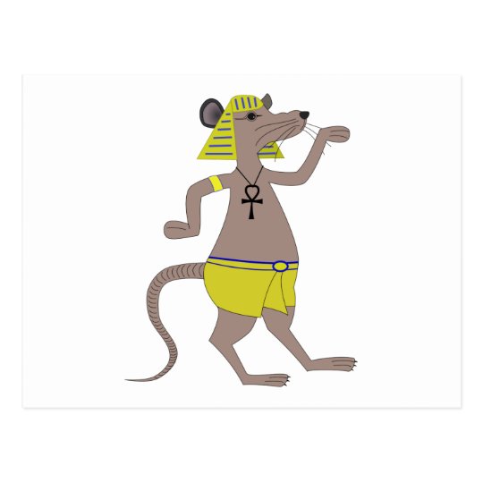 Postal Rata egipcia | Zazzle.es