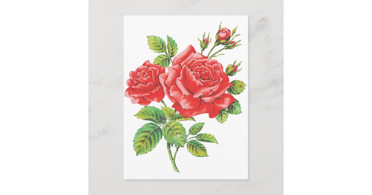 Postal Rosas Rojas Vintage Botánicas | Zazzle.es