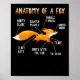 Póster Anatomía De Un Dulce De Fox Cute Carnivore | Zazzle.es