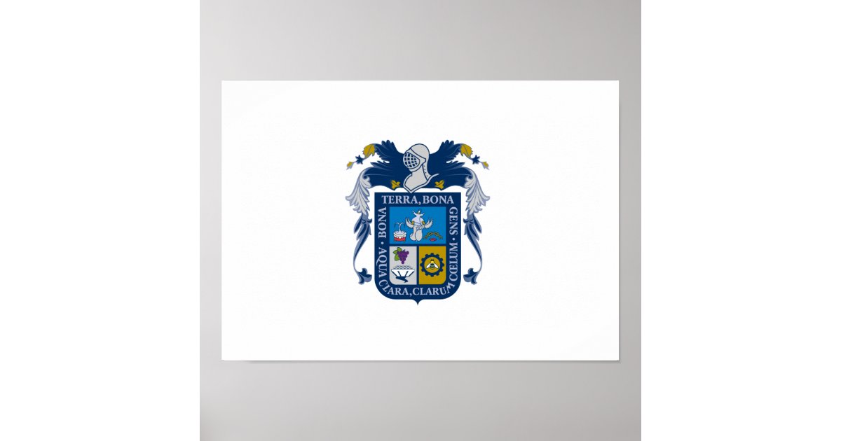 Póster Bandera de Aguascalientes | Zazzle.es