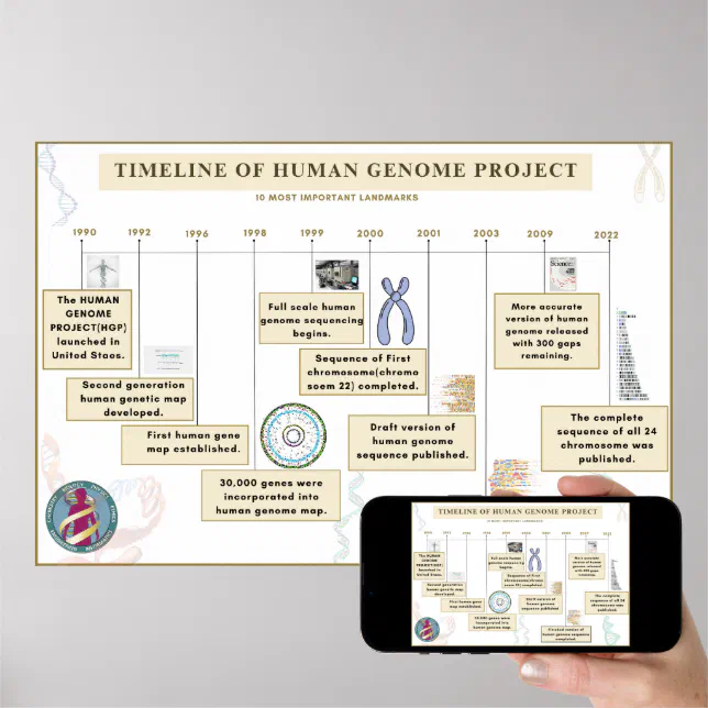 Póster Cronología del proyecto del genoma humano | Zazzle.es
