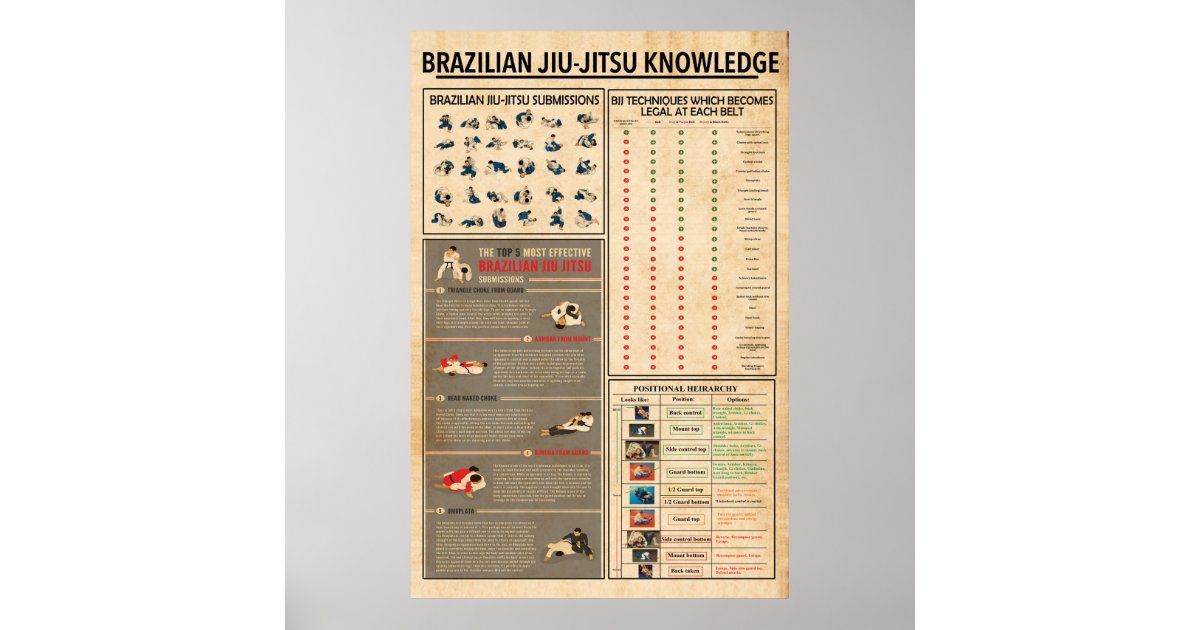 jiu jitsu techniques poster