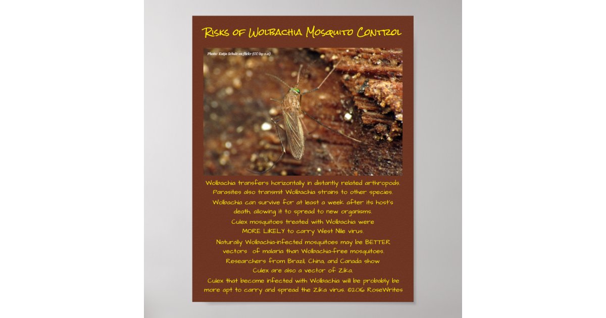 Póster Riesgos de control de mosquitos en Wolbachia por R | Zazzle.es