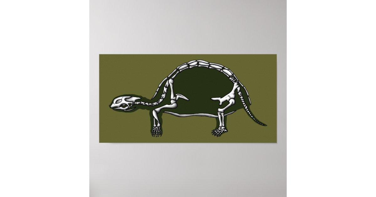Póster tortoise skeleton | Zazzle.es
