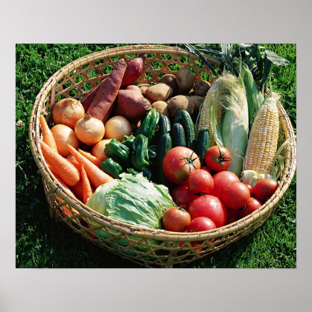 Pósters Fruta Y Verduras | Zazzle.es
