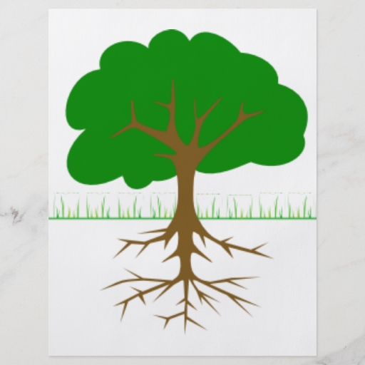 El arbol de 5 raices - Imagui