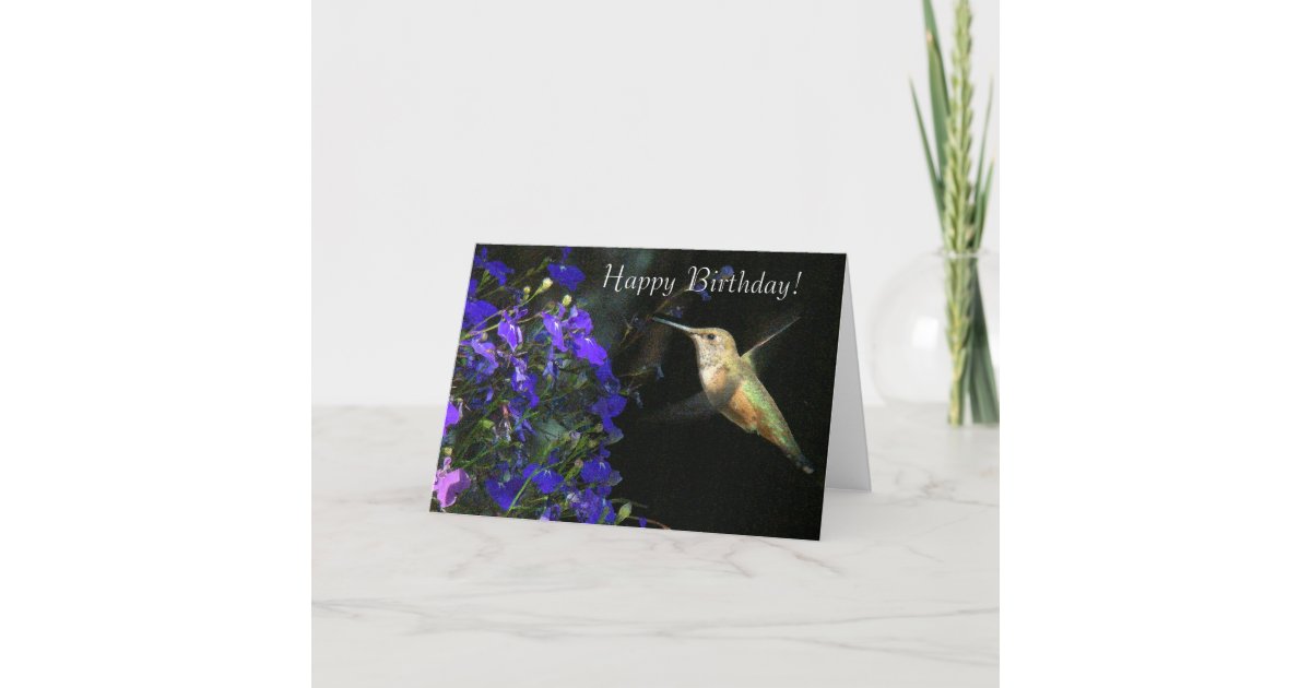 Tarjeta del feliz cumpleaños del colibrí | Zazzle.es