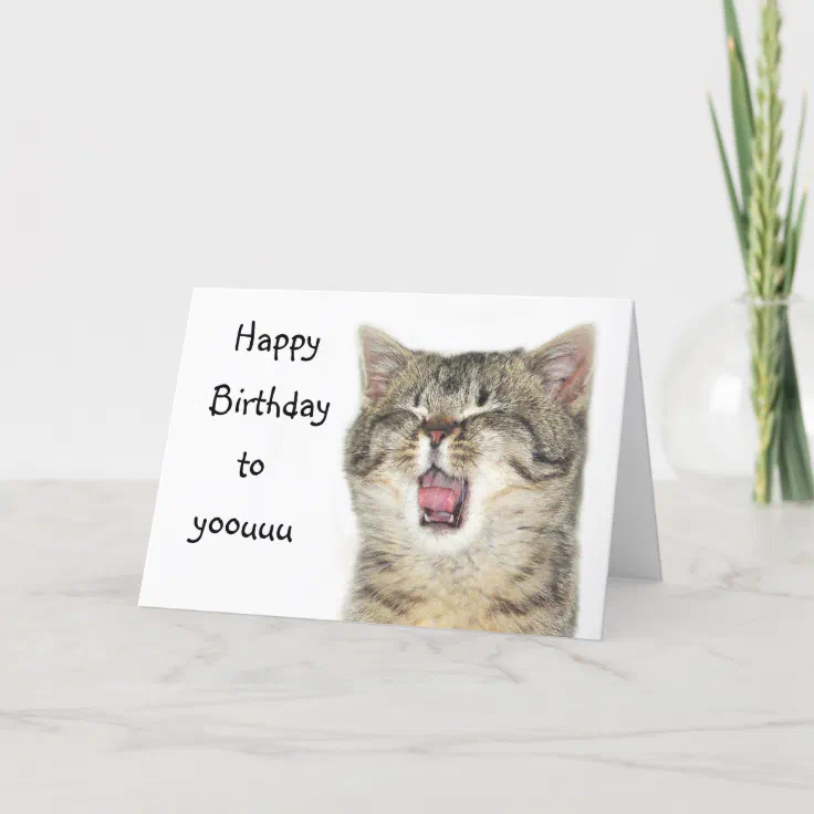 Tarjeta Feliz cumpleaños gatito | Zazzle.es
