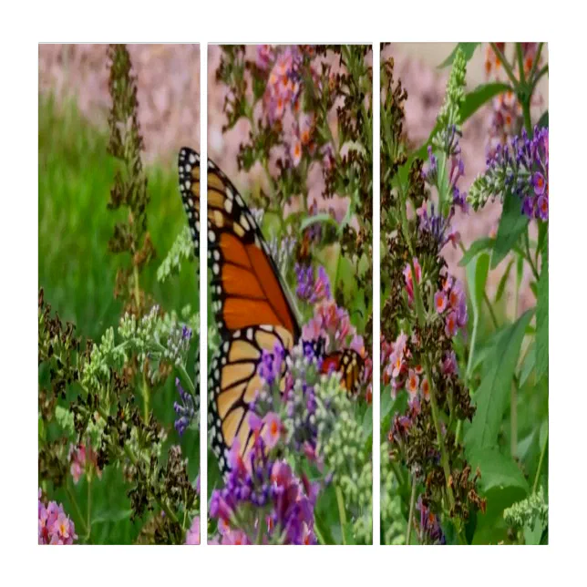 Tríptico Mariposa monarca | Zazzle.es Tríptico Mariposa monarca | Zazzle.es